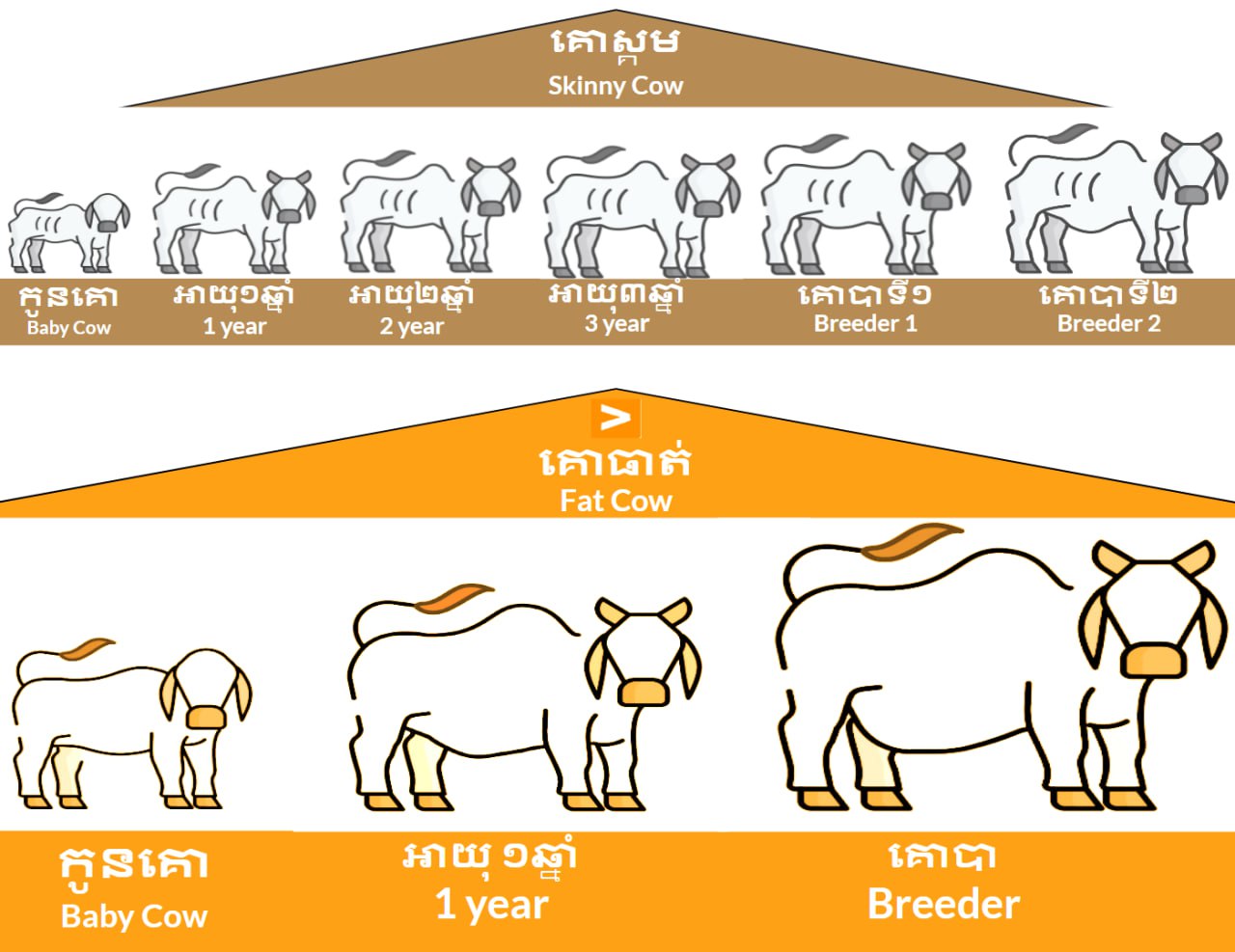 Fat Cow Family Farm – Become More